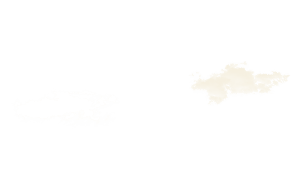 About us - Flow Express